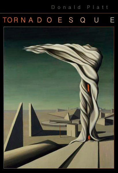 The Mad Hatter of Poetry by Donald Platt – CavanKerry Press