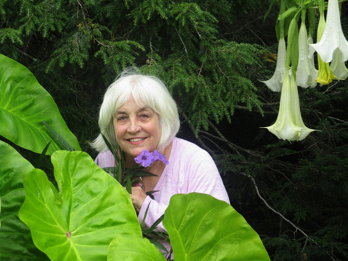 Judith Sornberger – CavanKerry Press
